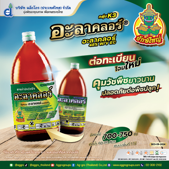 สารกำจัดวัชพืช: อะลาคลอร์